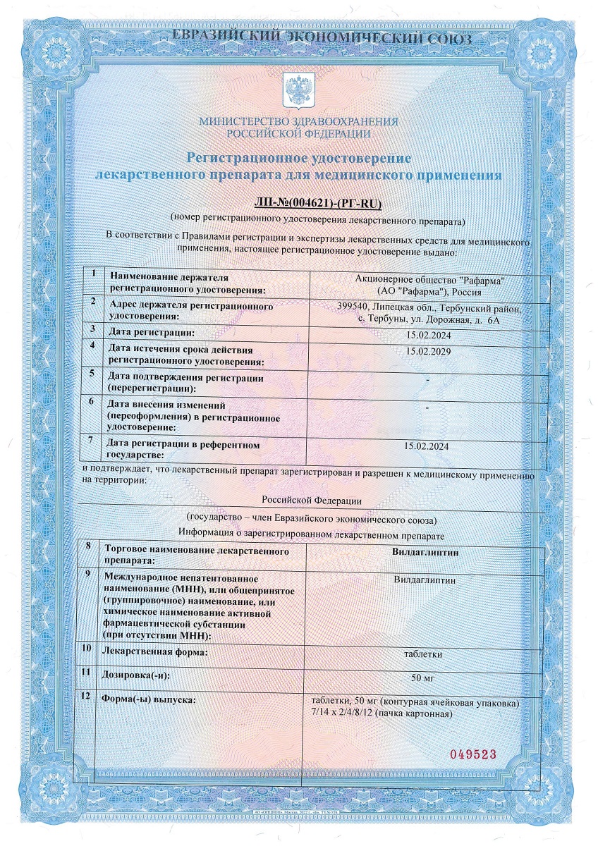 Вилдаглиптин, таблетки 50 мг, 28 шт. купить по выгодной цене в Новосибирске с доставкой в аптеку ...
