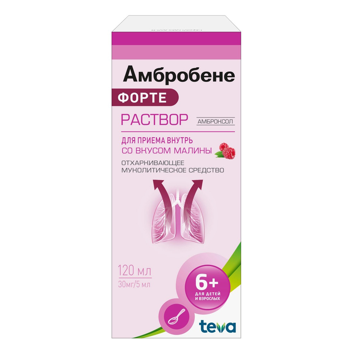 Амбробене Форте, раствор для приема внутрь 30 мг/5 мл, 120 мл купить по выгодной цене в ...