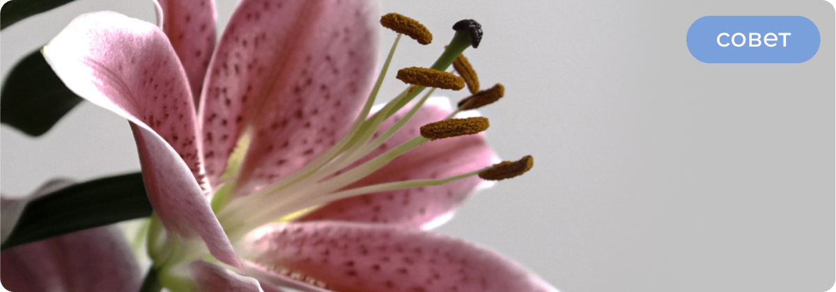 Отек Квинке: причины, симптомы и лечение ангионевротических отеков