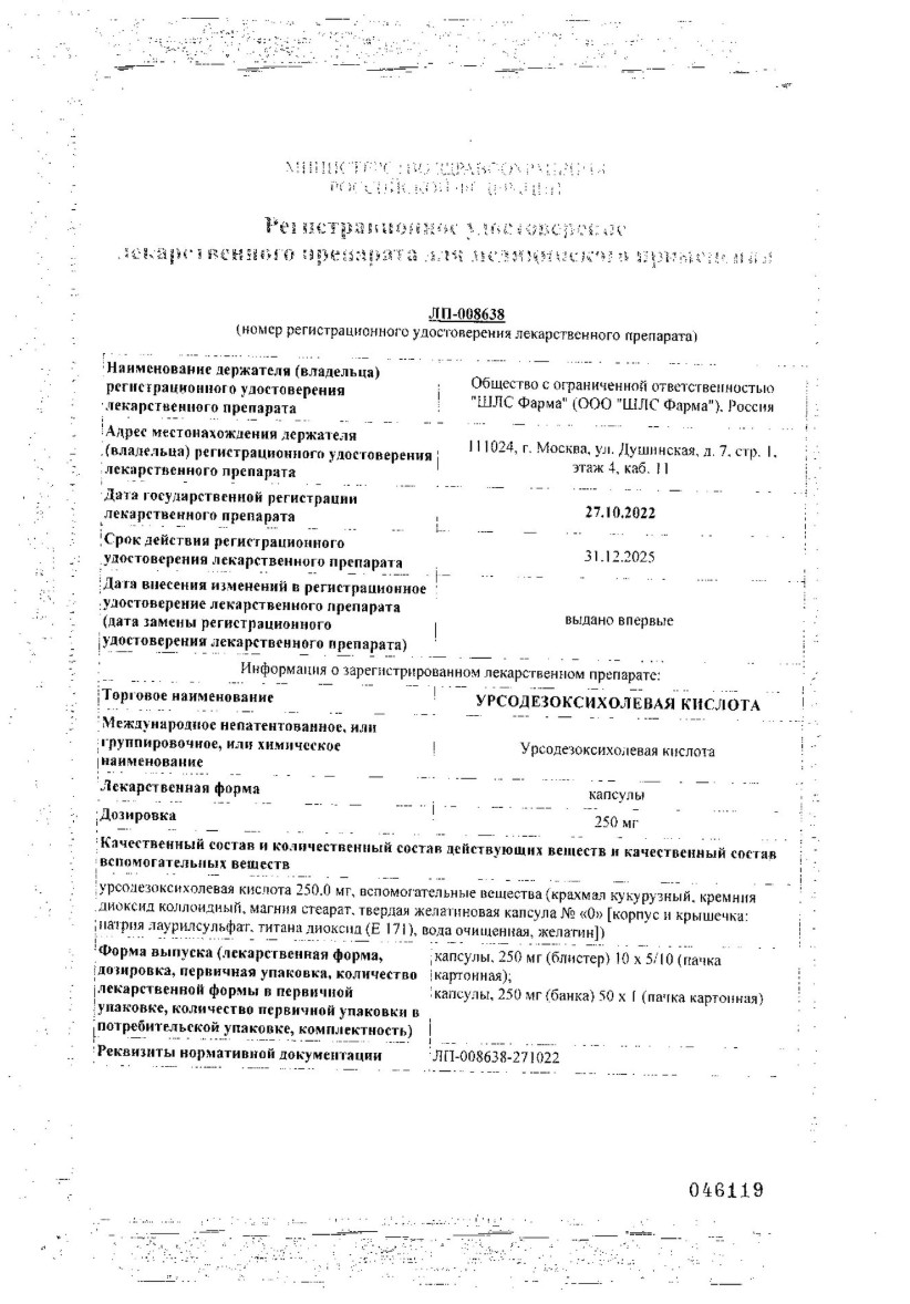 Урсодезоксихолевая кислота, капсулы 250 мг, 50 шт. купить по цене 577 руб. в Челябинске с ...